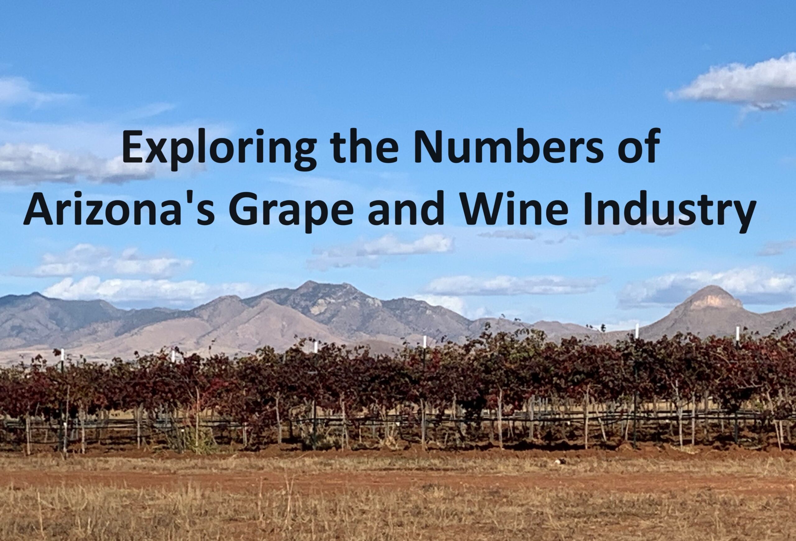 Exploring the Numbers of Arizona’s Grape and Wine Industry - The Wine ...